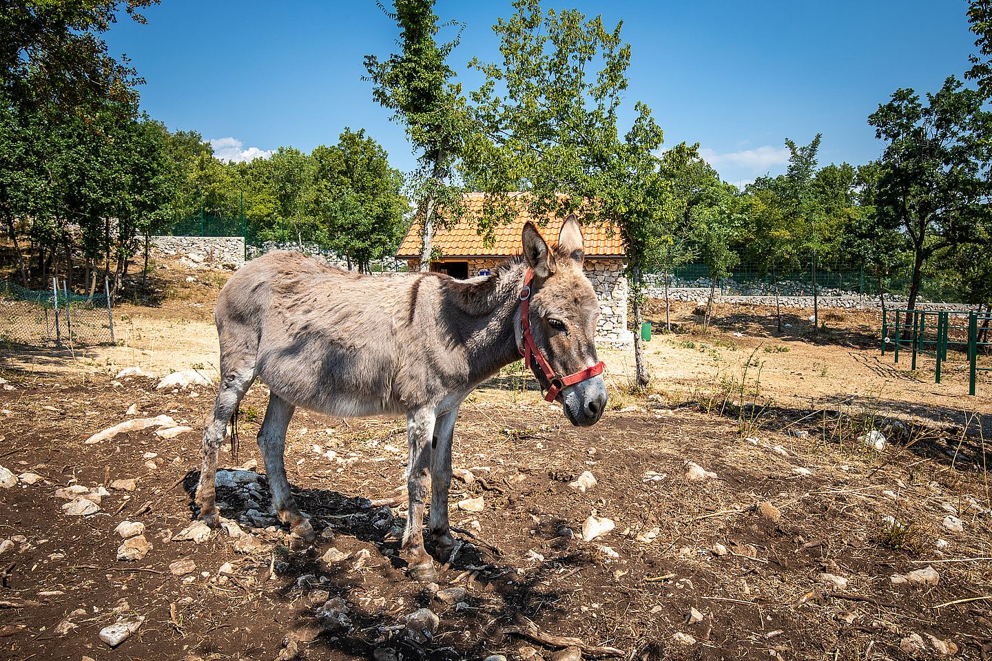 Dvorište domaćih životinja - Park Goranci